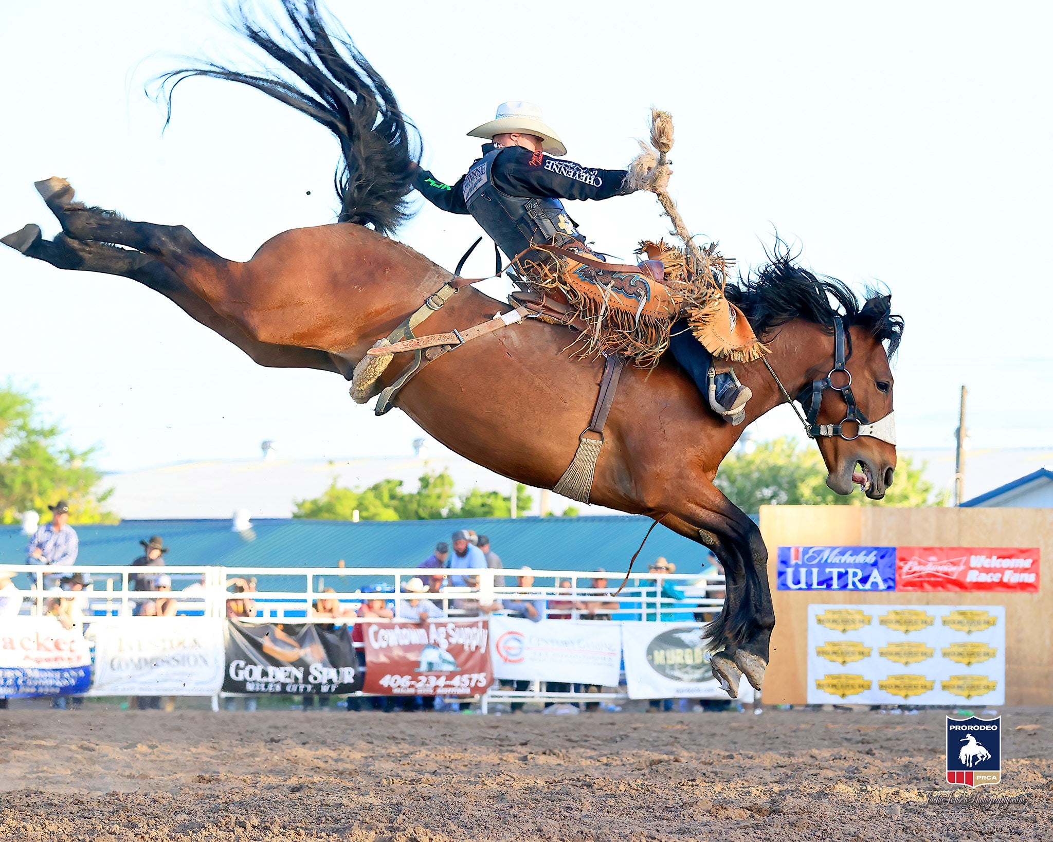 5 Most Famous Saddle Bronc Riders (Over $3M in Career Wins) – Stable Talk