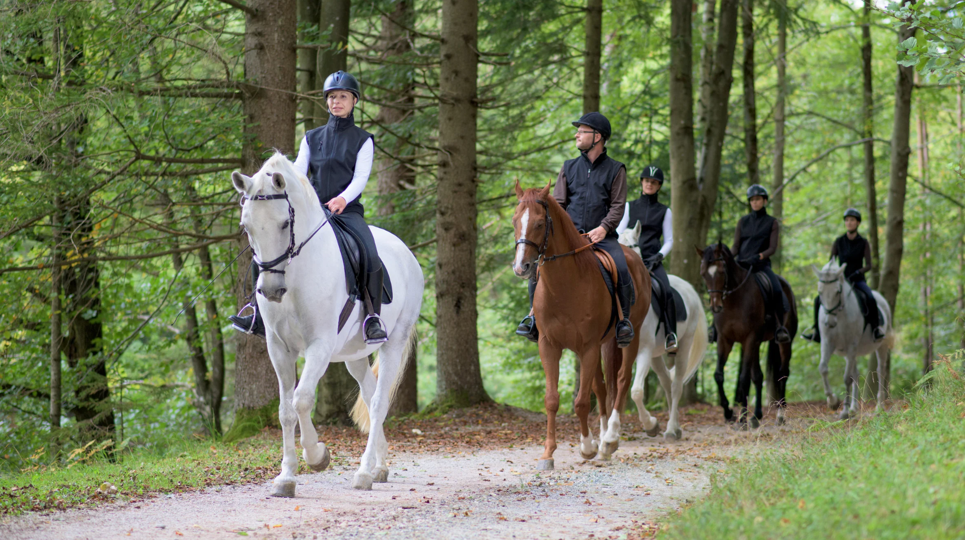 50 Most Popular Horse Riding Camps in United States – Stable Talk