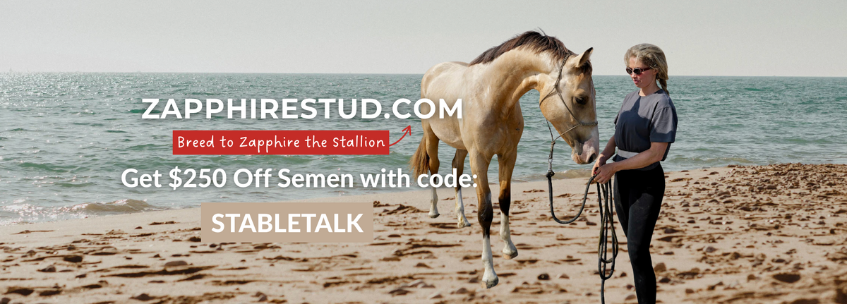300+ Male Horse Names (Barn Names & Unique) – Stable Talk
