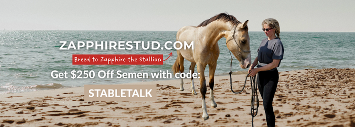 Cleveland Bay Horse Breed - 7 Unique Facts (you didn't know) – Stable Talk
