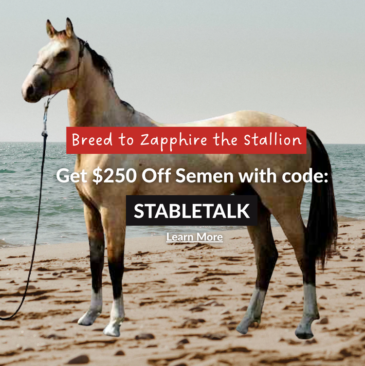 300+ Male Horse Names (Barn Names & Unique) – Stable Talk